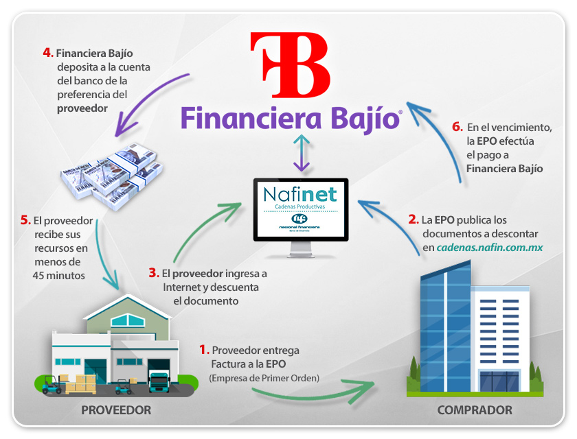 Cadenas Productivas NAFIN para tu Empresa | Financiera BanBajío